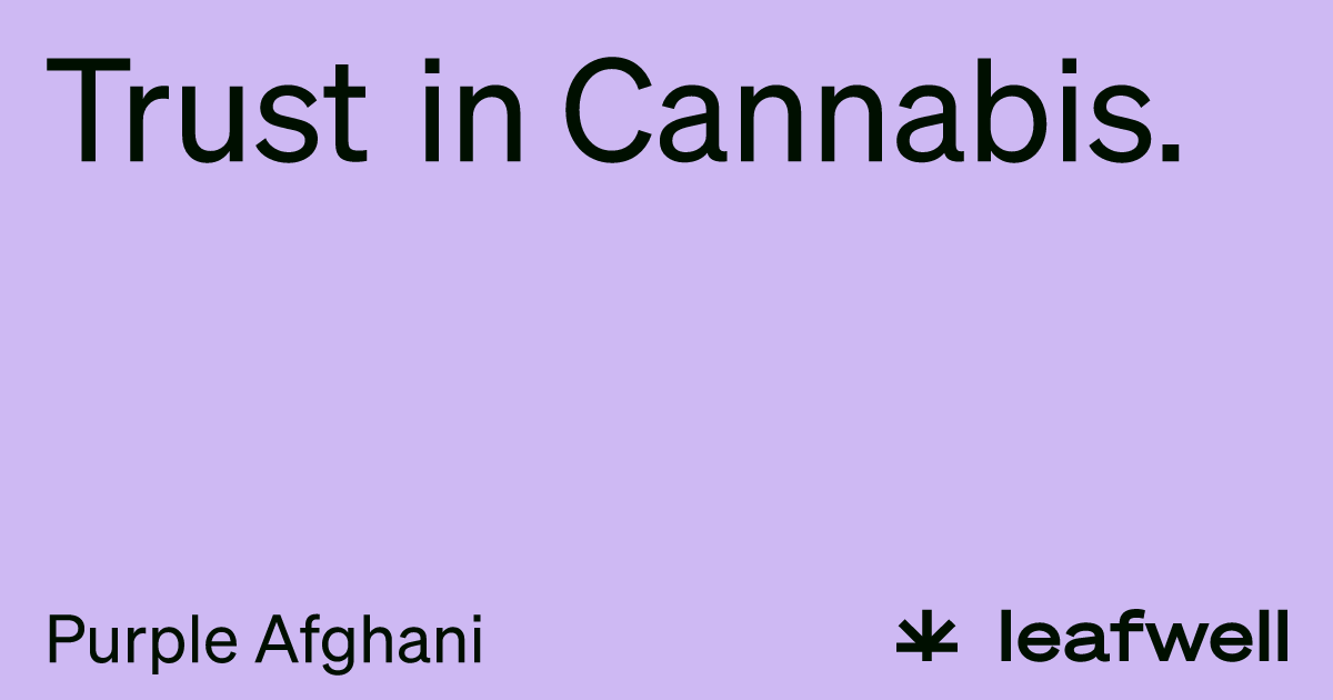 Purple Afghani Marijuana Strain, AKA Purple Afghan Kush